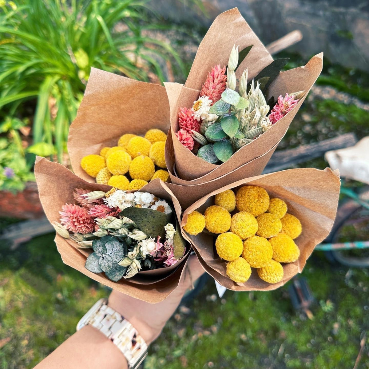 Garden – Fox & Fig