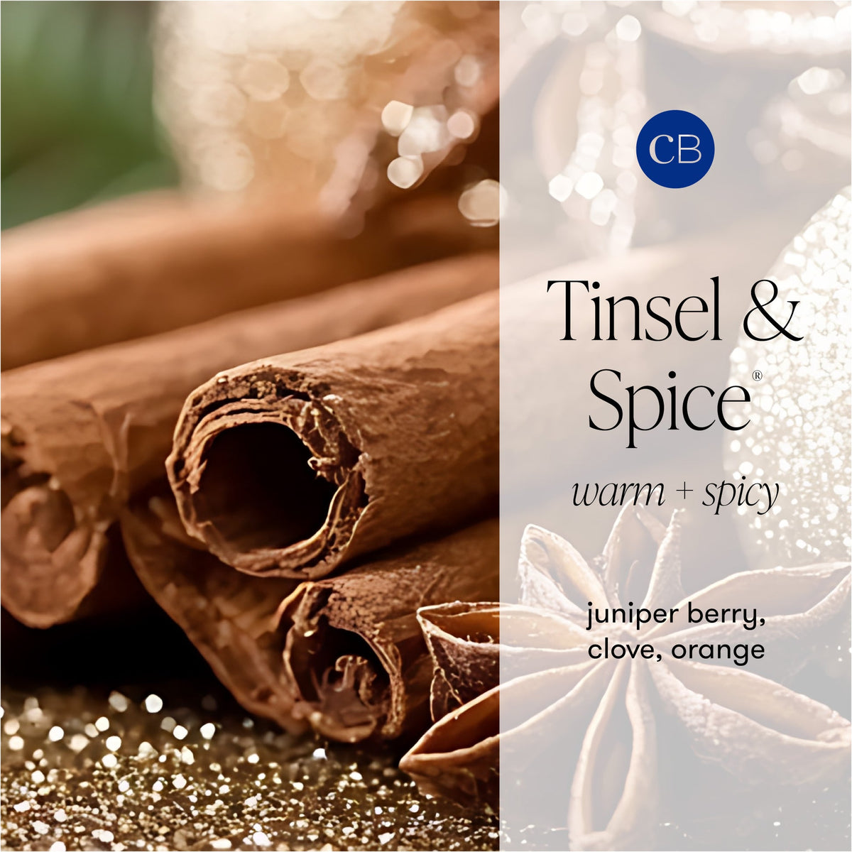 Capri Blue Tinsel & Spice Glimmer Hand Wash – Fox & Fig